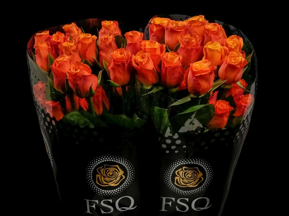 CONFIDENTIAL a Orange rose from Ecuador
