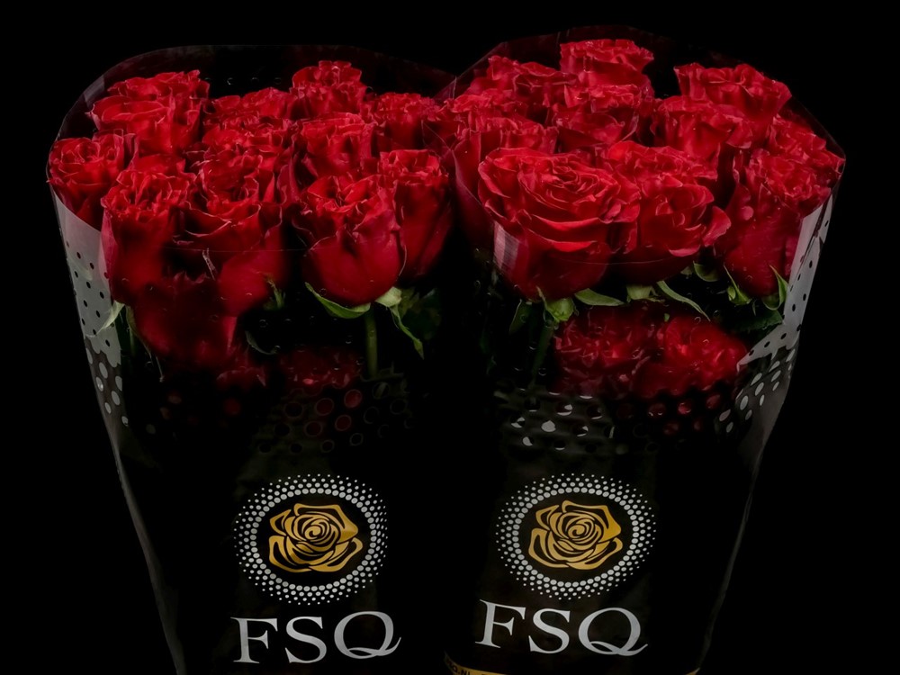HEARTS a Red rose from Ecuador