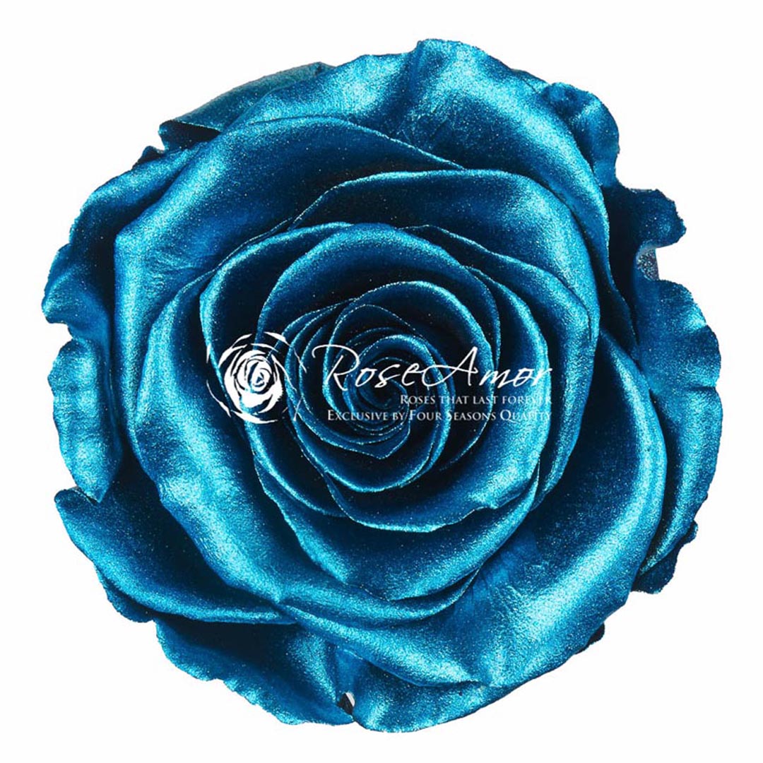 ROSEAMOR PRESERVED FSQ SILVER BLUE LL+